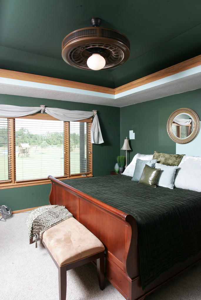 Purifan Air Purifier with matching 52-inch ceiling fan motor, Allergy – Purifan, Inc.